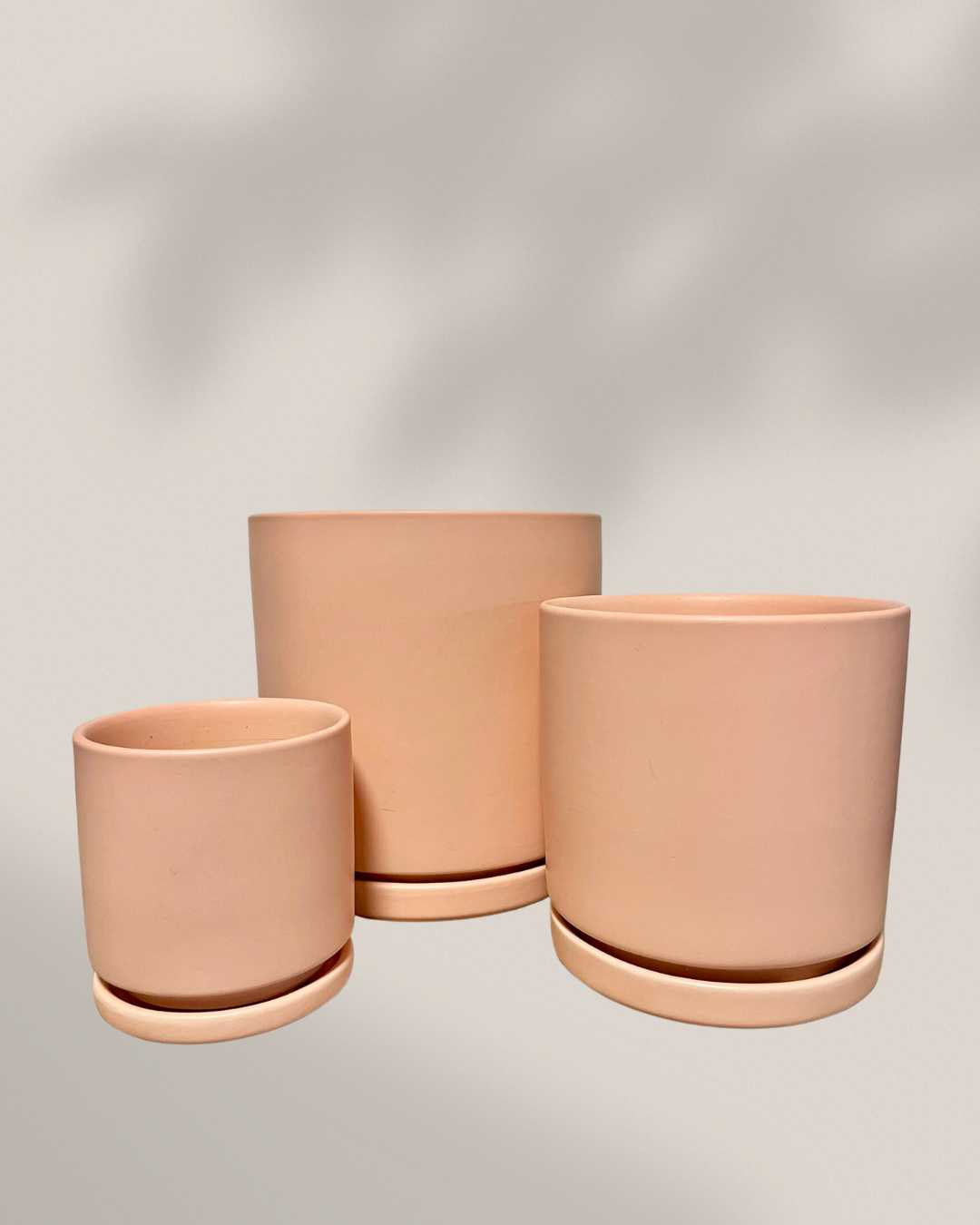 Planter Medium Fit 6" Pot Collection | Ceramic Plant Pots