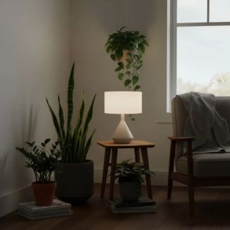 How to Care for Oxalis (Shamrock Plant): Complete Growing Guide