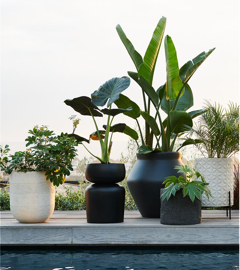 Pots & Planters Collection | Plant Container for Every Space