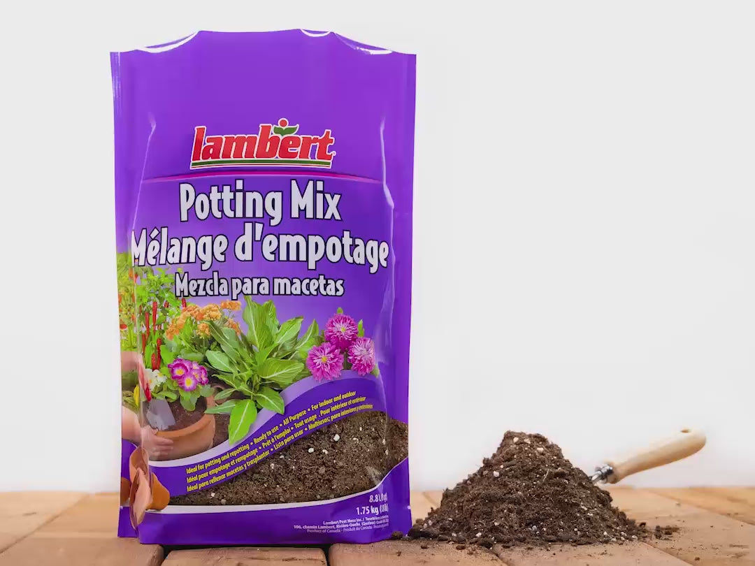 Quality Soil & Fertilizer for Indoor Plants | Potting Mix